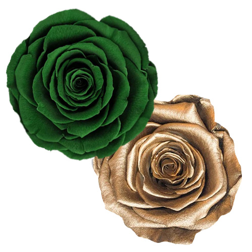 Dark Green & Gold Roses| Preserved Roses - The Roses Mansion