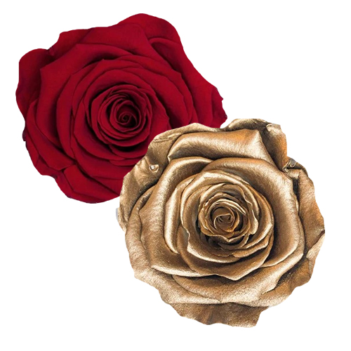 Bright Purple & Gold Roses | Preserved Roses – Roses Mansion